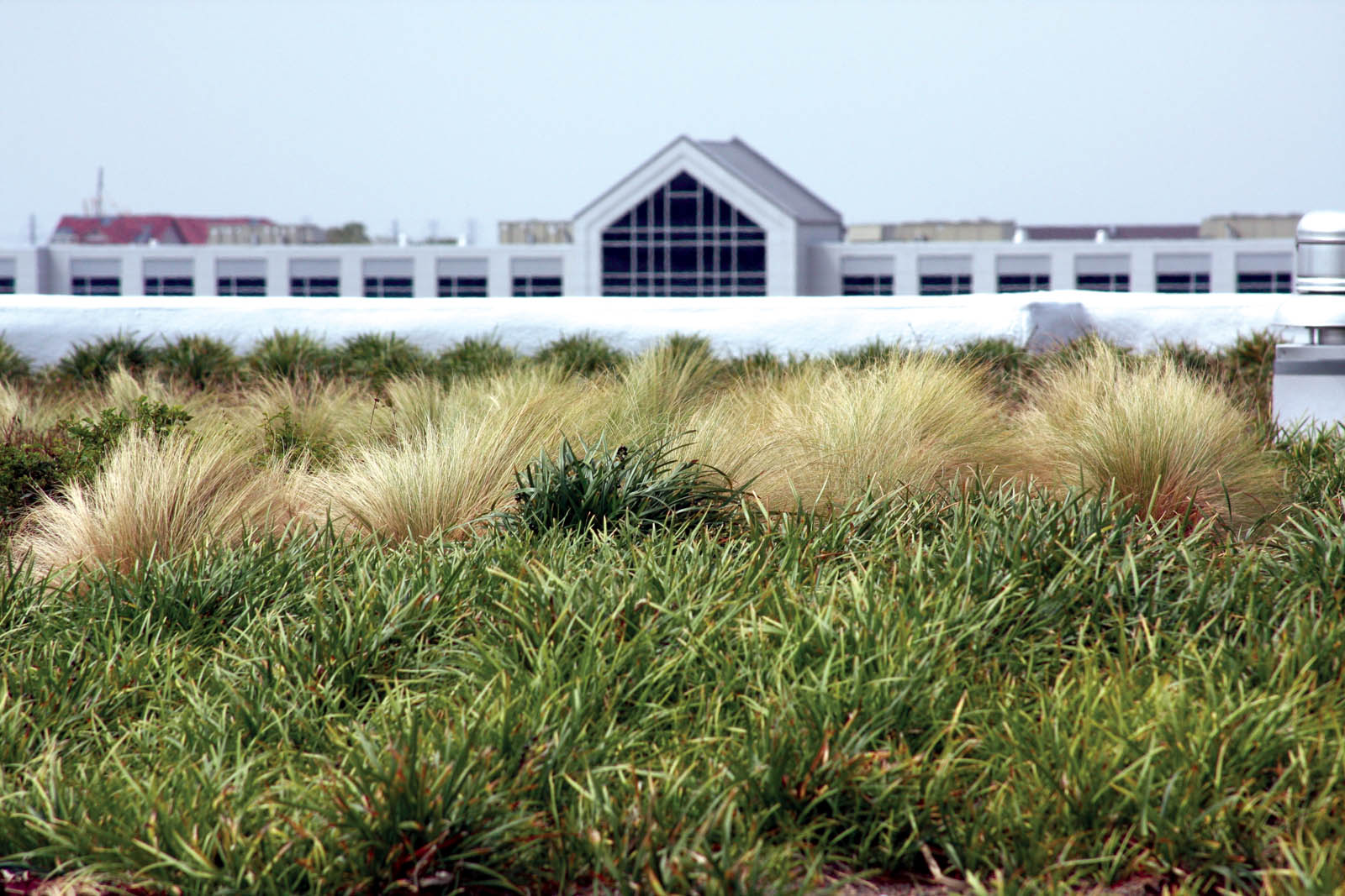 Green roofs with geosynthetic materials optimize sustainability ...