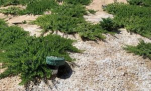 Engineered earth with greywater systems - Geosynthetics Magazine