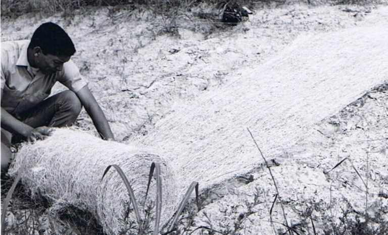 Erosion control history and evolution - Geosynthetics Magazine