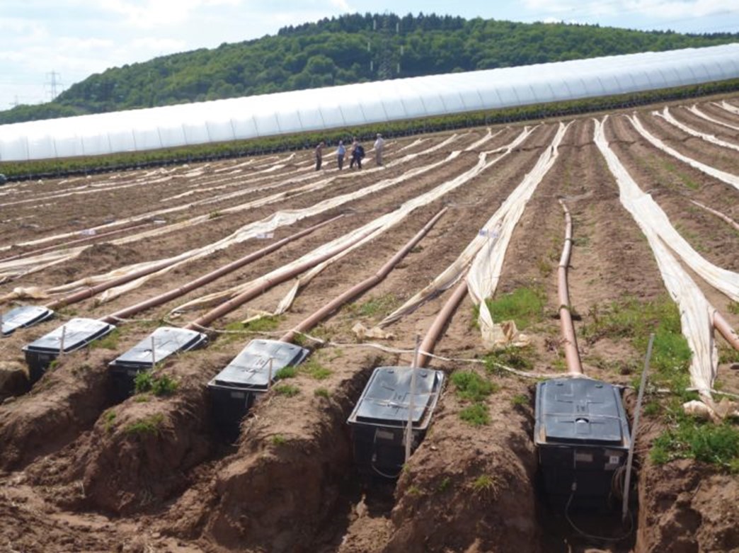 The importance of soil resources: Overlooked and undervalued ...