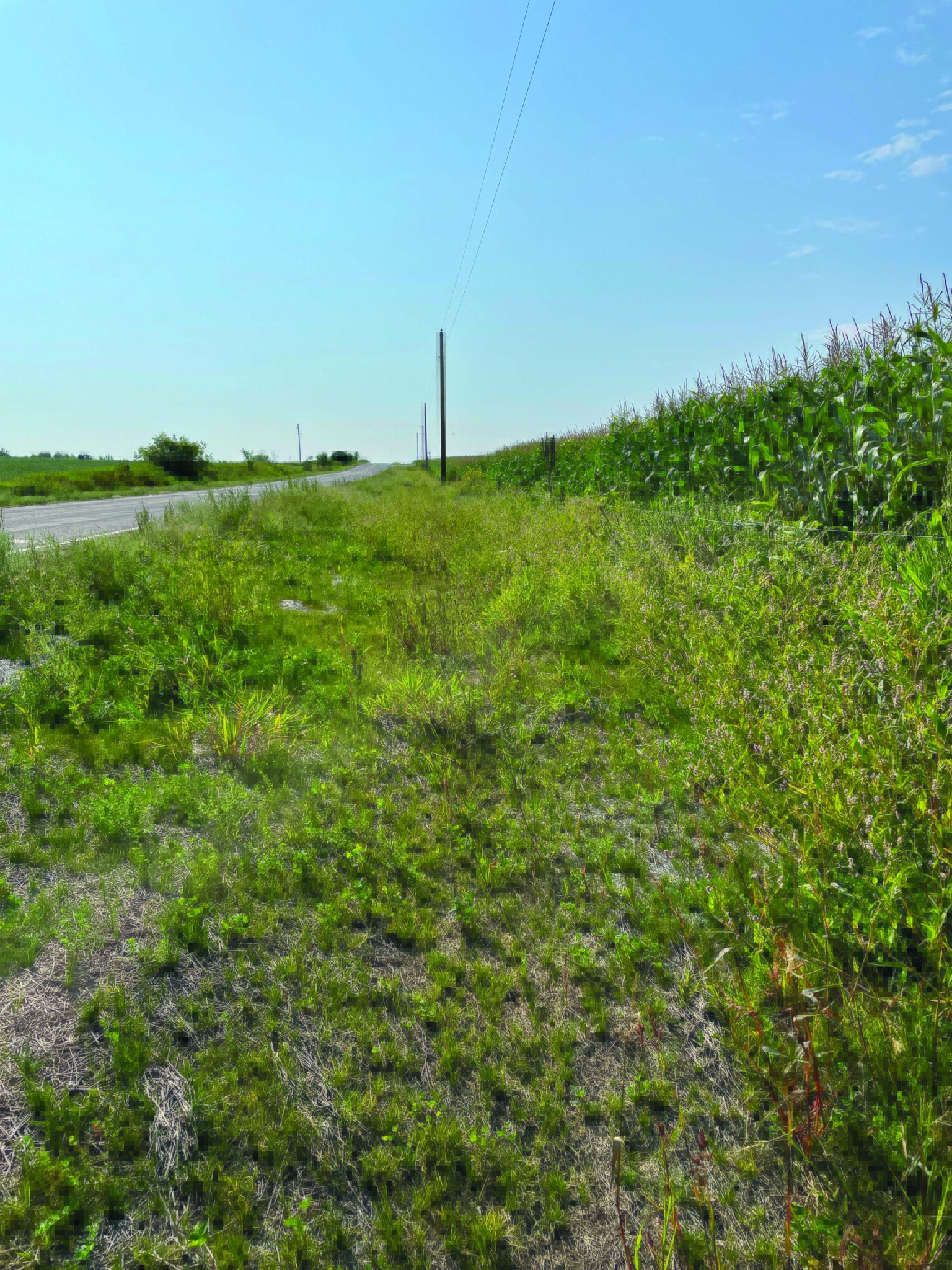 Erosion control and infrastructure - Geosynthetics Magazine